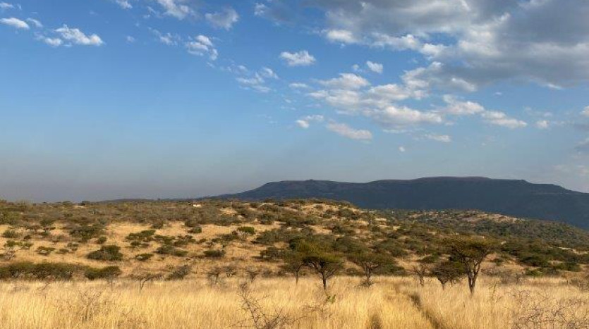 ± 700 Ha Land In Louwsburg with Game Farm Potential